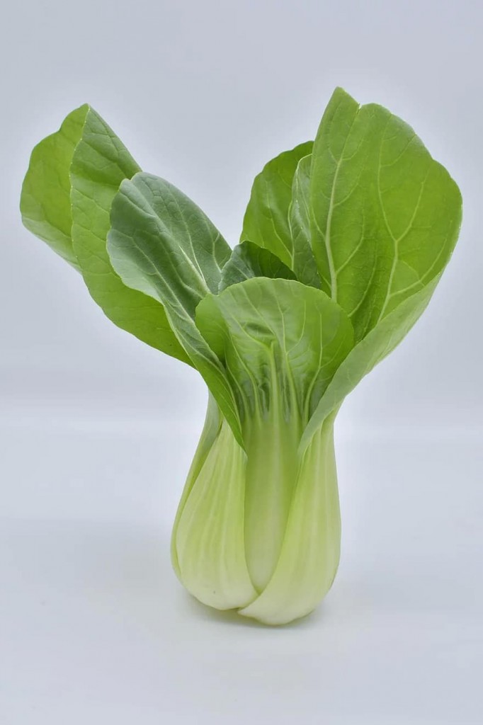 Authentic Italian Deli and Restaurant in Chiswick Mall, Hammersmith